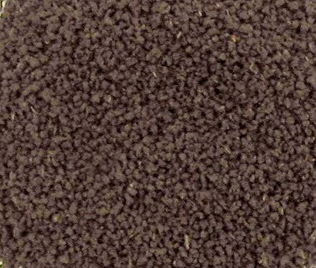 RWANDA RUKERI BP1 - Black Tea – Jaju Beans & Leaves